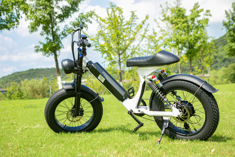 GaeaCycle Step Through Electric Bike, 500W Fat Tire Ebike, 20"*4 Fat ...