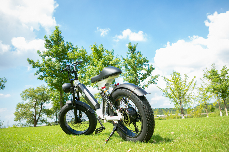 GaeaCycle Step Through Electric Bike, 500W Fat Tire Ebike, 20"*4 Fat ...